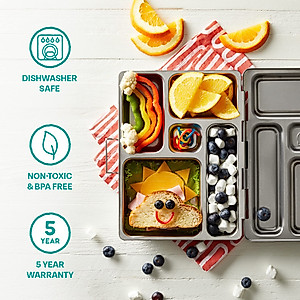 PlanetBox Rover Stainless Steel Bento Lunch Box with 5 Compartments for Adults and Kids, Sharks Carry Bag and Magnets
