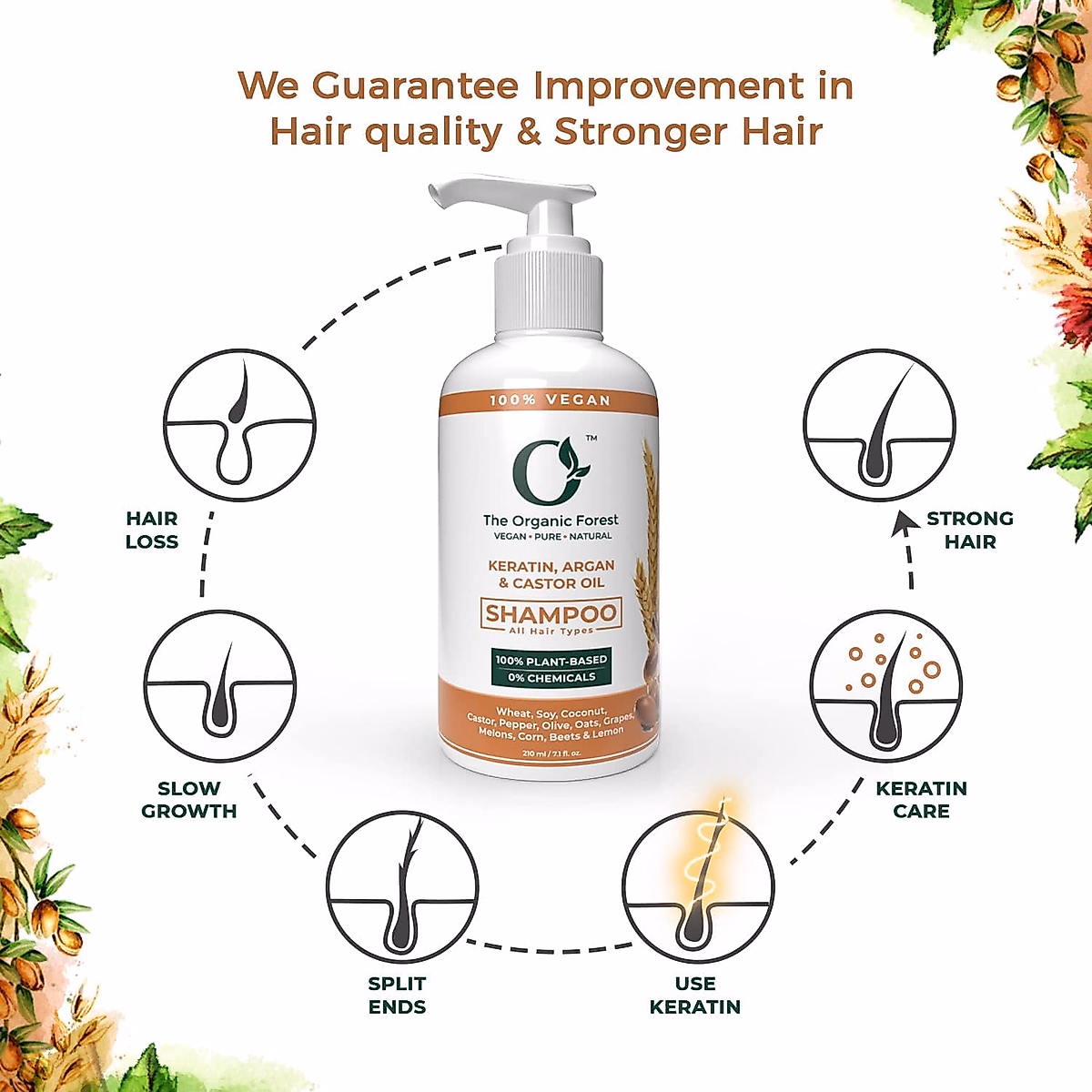 Sulfate Free Keratin, Castor Oil & Moroccan Argan Oil Shampoo | Moisturizing, Color Safe Shampoo for Dry, Oily, & Thinning Hair | Paraben-Free, No Sodium Lauryl Sulfate, Dry Scalp Repair