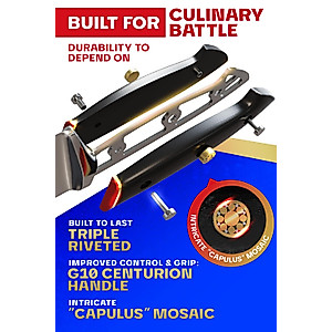 Dalstrong Butcher Knife - 10 inch - Centurion Series - Premium Swedish 14C28N High Carbon Stainless Steel - G10 Handle Meat Kitchen Knife - Razor Sharp Carving Breaking Knife - Sheath Included