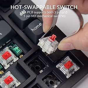 Keychron Q2 Wired Custom Mechanical Keyboard Knob Version, 65% Layout QMK/VIA Programmable Macro with Hot-swappable Gateron G Pro Red Switch Double Gasket Compatible with Mac Windows Linux (Black)