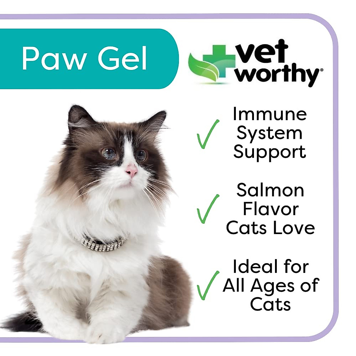 Vet Worthy Lysine Paw Gel Aid for Cats - Cat Paw Gel to Support The Immune System and Overall Health - Cat Supplement with Amino Acid L-Lysine- Salmon Flavor Gel, 3oz