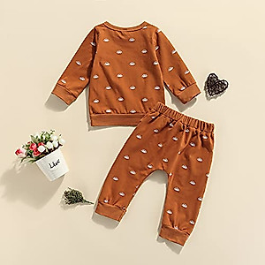 Capbier Newborn Baby Boys Clothes Sets Infant Cute Sun Print Long Sleeve Pullover Sweaters 3 6 9 18 24 Months Outfits Unisex Cotton Clothing, Brown, 3-6 Months (100 Percent Cotton)