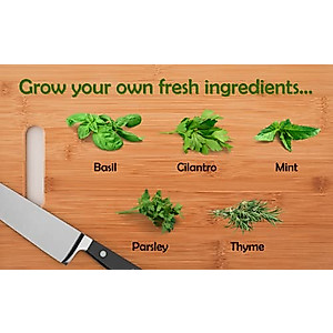 Awake Farms Indoor Herb Garden Seed Starter Kit – Indoor Grow Kit with Bamboo Pots, Soil Discs, Moisture Meter, Plant Markers, Seeds - Herb Seeds Variety Pack Indoor – Ideal for Balcony, Windowsill