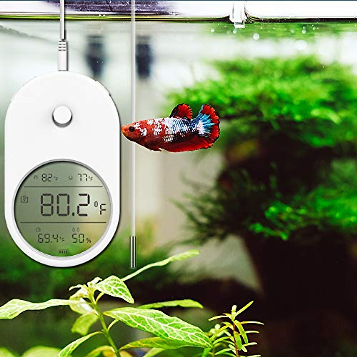 LCD Digital Aquarium Thermometer,Fish Tank Water Terrarium Temperature for Fish and Reptiles,Room Temperature,Indoor Humidity 3 in1(Fahrenheit)