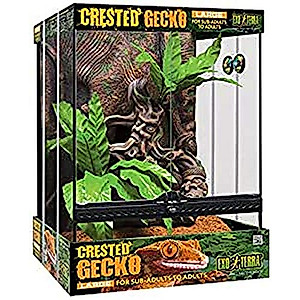 Exo Terra PT3779 Crested Gecko Kit, Large