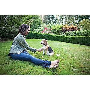 PetSafe Elite Little Dog In-Ground Fence Receiver Collar, for Dogs Over 5lb, Waterproof with Tone and Static Correction