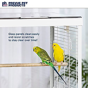 Prevue Pet Products Clear View Glass Bird Cage Crystal Palace for Small Birds - White Frame