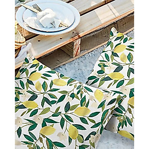 Waterproof Outdoor Throw Pillow Cover Yellow Lemon Fruits Lumbar Pillowcases Set of 2 Green Leaves Plant Decorative Patio Furniture Pillows for Couch Garden 18x18 inch