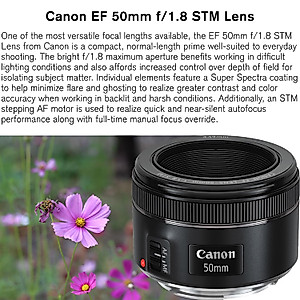 Canon EOS 5D Mark IV 30.4 MP DSLR Full Frame Camera Body with EF 50mm F1.8 STM Lens + EF 75-300mm F4-5.6 III Lens Kit Pro Travel Bundle