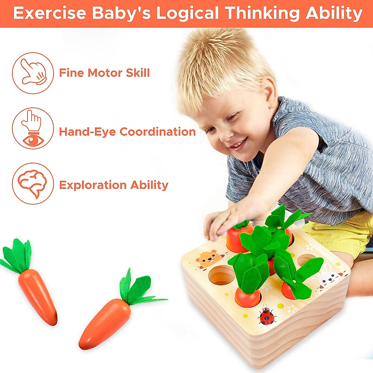 SGVV90 Shape Sorting Matching Montessori Wooden Toy, Farm Harvest Stem Puzzle Game with 7 Sizes Vegetables and Fruits, Developmental Preschool Educational Gifts for Toddlers (Carrot)