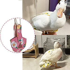 PIEITI Waterproof Call Duck Diaper for Real Ducks Clothes Nappy to Keep Home Clean, Reusable Diapers for Cole Duck with Enlarged Bag for Duck Feces Pee, Poultry Supplies(L)