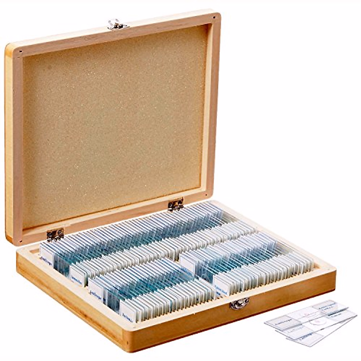 AmScope PS100E Basic Biology Prepared Slide Set for Student and Homeschool Use, Set of 100 Prepared Glass Slides (Set E), Includes Fitted Wooden Storage Box