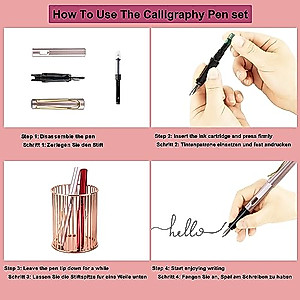 TIANREN Calligraphy Pen set,Fountain Pens with 8 Different Replaceable Nibs with 60 Ink Cartridges(12 Colors),Calligraphy set for Beginner Writing Drawing.