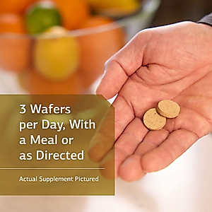 Standard Process Calcifood - Supports Calcium Absorption - Build Bone Strength with Calcium, Phosphorus, Defatted Wheat Germ, Organic Carrot, Date Fruit, Honey, and More - 100 Wafers