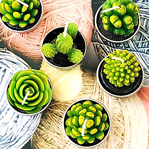Glarks 12Pcs Unique Designs Cactus Tealight Candles Set, Handmade Delicate Succulent Cactus Artificial Succulents Tealight Candles Perfect for Birthday Party Valentine's Day Wedding Spa Home Decor