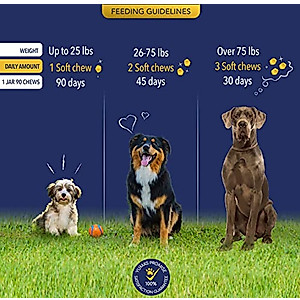 YUMA'S Dog Allergy Chews - Itch Relief for Dogs - Dog Allergy Relief - Anti Itch for Dogs - Dog Itchy Skin - Dog Allergy Support - Hot Spots Supplement - 90 Treats