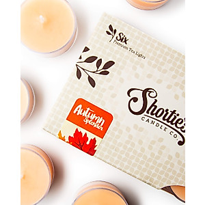 Autumn Splendor Premium Tealight Candles - Highly Scented with Essential Oils - 6 Orange Tea Lights - Beautiful Candlelight - Made in The USA - Christmas & Holiday Collection
