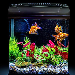POPETPOP Aquarium Ornament Pirate Skeleton Decoration Skull Fish Tank Decor Cave for Hiding Betta Fish Accessories