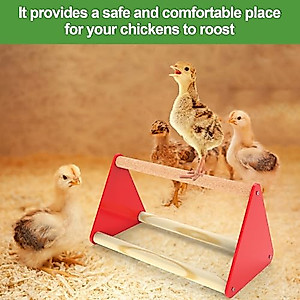 Baby Chicken Supplies, Chicken Brooder Box for Chick Starter Kit with Chick Perch Feeder and Waterer, 4-in-1 Bundles of Home Poultry Essential for Baby Chick, Duck and Quail