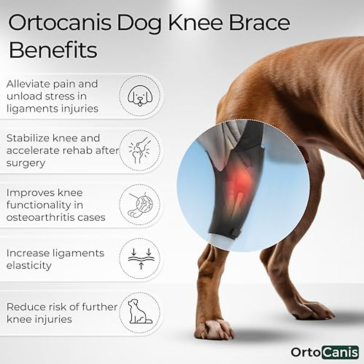 Ortocanis Dog Knee Brace for Torn Acl Hind Leg, Cruciate Ligament Injuries, Patella Dislocation or Osteoarthritis - Dog Acl Knee Brace - Dog Braces for Back Leg for Support (XXX-Small, Left Leg)