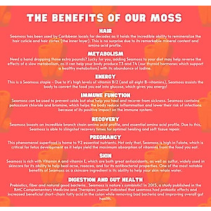 EDA Organics Raw St Lucia Sea Moss Bulk Bag - Raised by Hand on Clean Caribbean Coastlines - Harvested by local St Lucian Farmers - Makes over 180oz+ of Seamoss Gel (13 Jars!) - An authentic Dr Sebi Superfood (8oz BULK Bag)