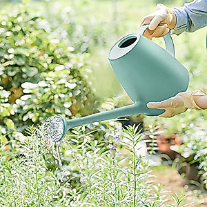 MINIMALISM Watering Can for Indoor House Bonsai Plants Outdoor Garden Flower Detachable Long Spout 1.8L 60oz 1/2 Gallon Green