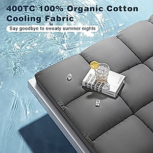 Shilucheng Mattress Topper King Size,Extra Thick Mattress Pad Cover,Pillow Top Mattress Topper for Back Pain,Soft Bed Topper Overfilled with Down Alternative,8-21" Deep Pocket,Grey