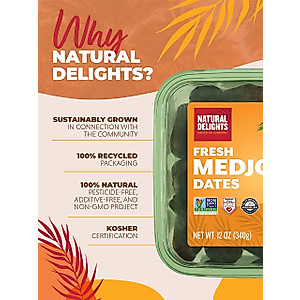 Natural Delights Medjool Dates – Large & Plump, Pitted Dates Medjool, Non-GMO Verified, Pesticide Free, Naturally Sweet Fruit Snack, Perfect for On-the-Go - Medjool Dates Pitted, 12 oz Container