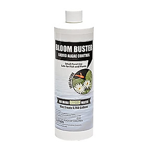 Bloom Buster Pond Algae Control - 16oz - Fast Acting Algaecide, Use in Fountains & Outdoor Ponds Containing Koi & Other Fish - EPA Registered