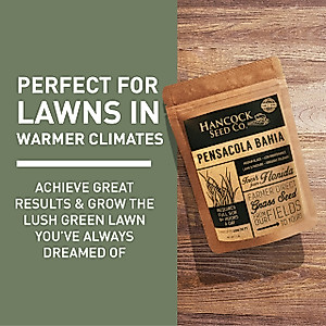 Hancock's Pensacola Bahia Grass Seed - Coated - 50 lbs.