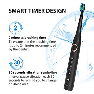 Dnsly Electric Toothbrush for Adults with 5 Modes Sonic Cleaning,Whitening Rechargeable Toothbrushes with 2-Min Smart Timer, 8 Brush Heads,1 Travel Case,Toothbrush 4 Hours Charge for 30 Days Use