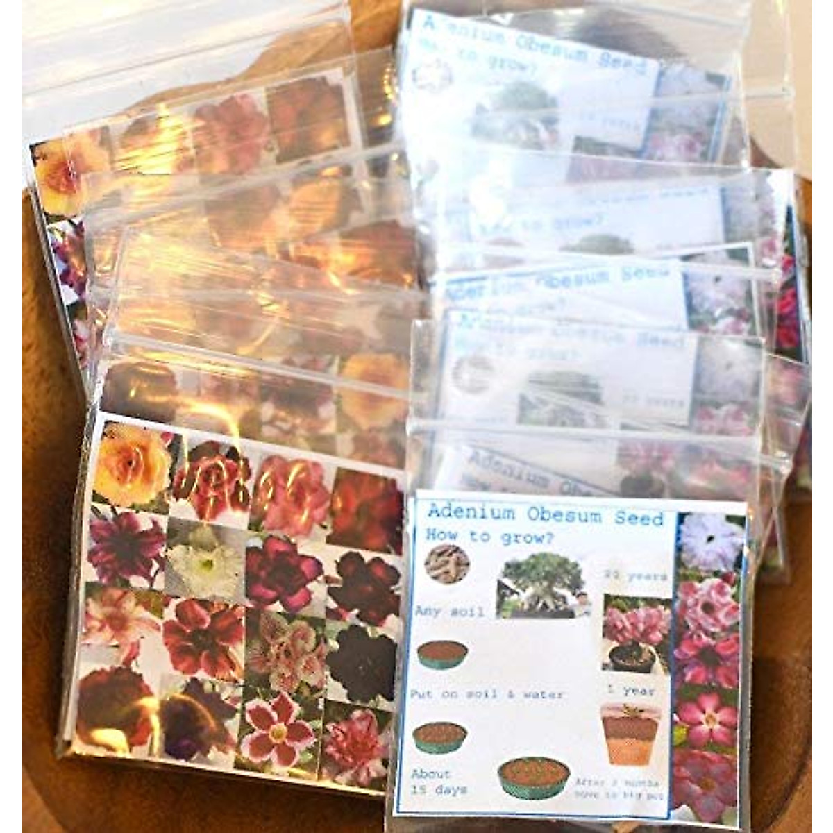 Desert Rose ADENIUM OBESUM Double Petal Flower - 100 Seeds - Beautiful and Rare!