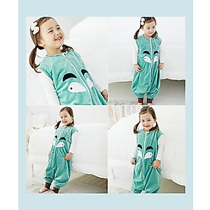 Bycc Bynn Toddler and Early Walker Sleep Fleece Sack with Feet, Baby Sleeveless Wearable Blanket Sleeping Bag (Fox, Small (1-3T))