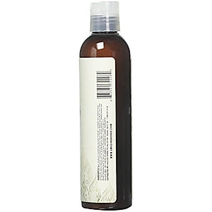 Amazing Herbs Black Seed Herbal Shampoo, 8 Fluid Ounce