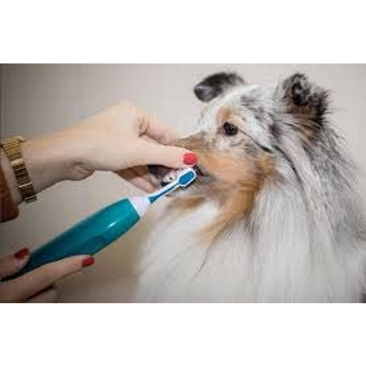 Emmi-pet Ultrasound Bristle-Head Attachments (2 Small Size)