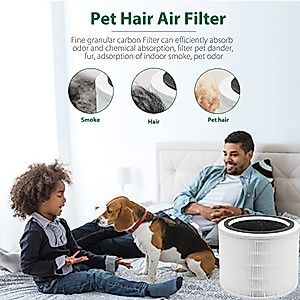 2 Pack Core 200S True HEPA Filter Replacement Compatible with LEVOIT Core 200S Air Purifier, 200S Premium Pet Air Filter Part, 200S Filters Replaces Purifier Filter for Smoke Pollen Dander Hair Smell