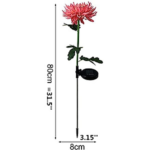 XinCanKun 4 Pack Outdoor Solar Lights, Solar Garden Lights with 4 Bigger Chrysanthemum Flowers, Waterproof Outdoor Lights - Bigger Solar Panel for Garden Patio Yard Pathway (4 Pack White)