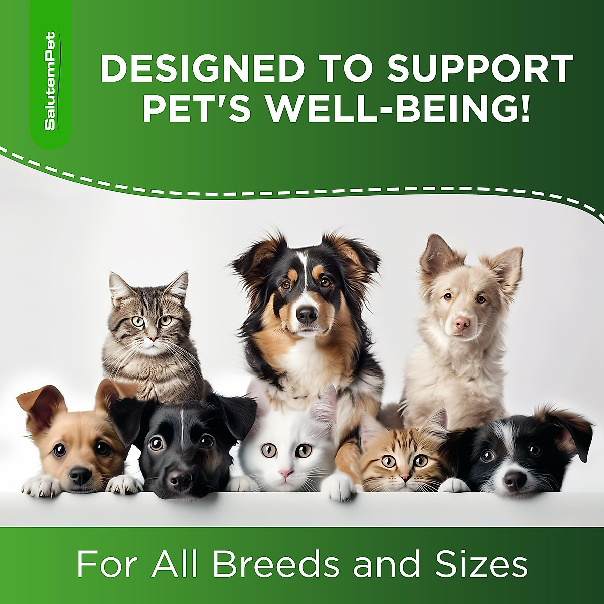 Liquid Multivitamin for Dogs | Dog Multivitamin Liquid | Multivitamin for Cats | Multivitamin for Dogs | Cat Multivitamin 10-in-1 | Cat Multivitamins for Indoor Cats | 2 Oz