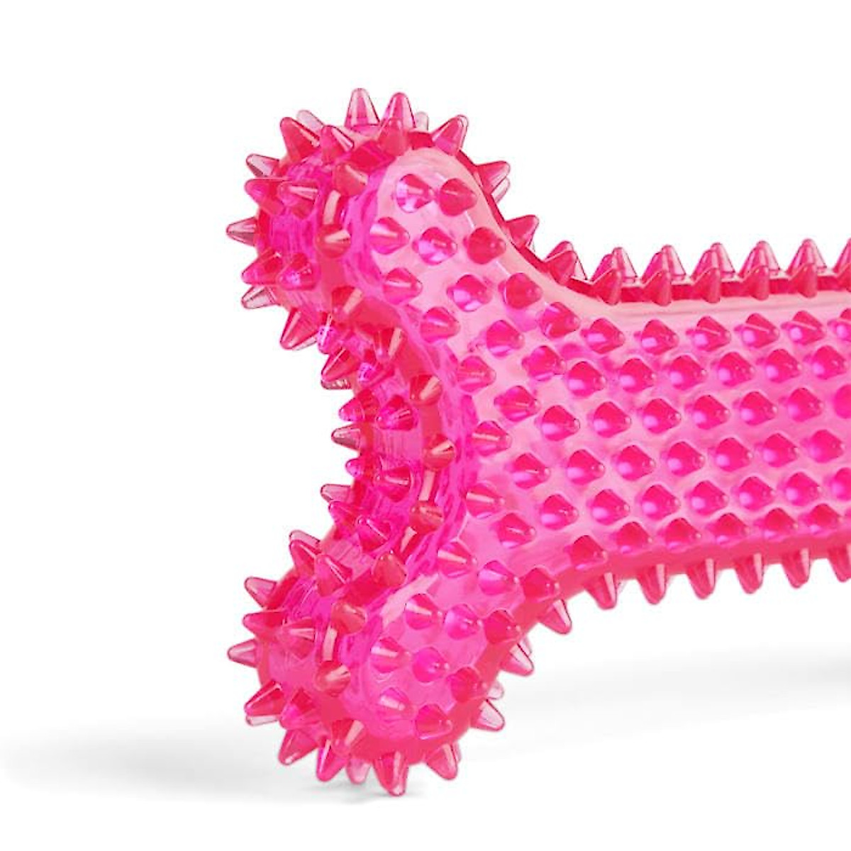Leaps & Bounds Spiny Bone Assorted Medium Chew Toy for Dogs