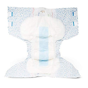 Rearz - Dinosaur - MEGA Adult Diapers 11,000ml (12 Pack) (Medium)