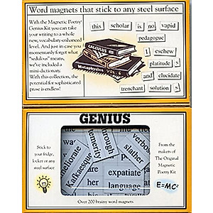 Genius-Magnetic Poetry Kit