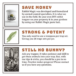 Rabbit Magic Paste Bait 8 Oz | Sweet Scented & Highly Attractive Lure for Rabbits Bunnies Raccoons | Good All Season Long to Get Rid of Rabbits in Yard Garden | 48 Live Trap Sets | USA Handcrafted