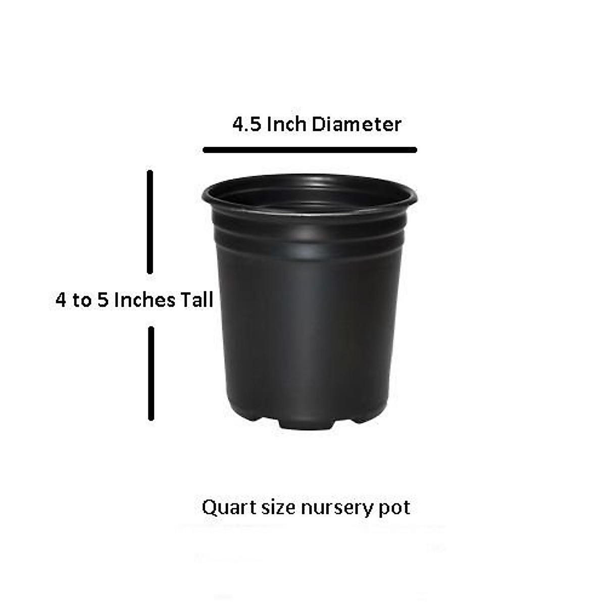 New Life Nursery & Garden Scarlet Curls Weeping Willow, Live Plant, Quart Pot