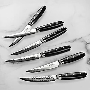Enso HD 16 Piece Knife Set - Made in Japan - VG10 Hammered Damascus Stainless Steel with Acacia Block