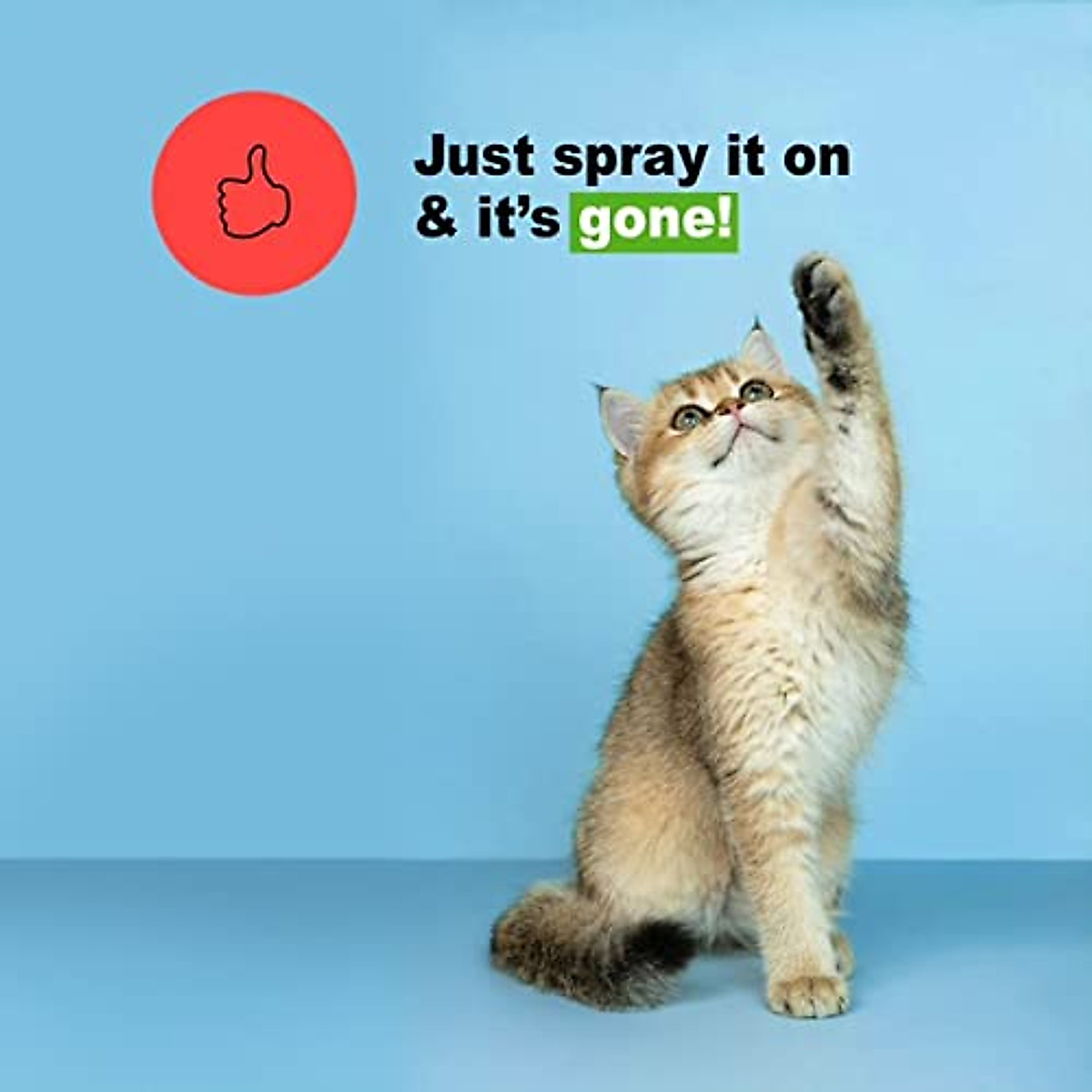 Urine Gone ProClean Stain and Odor Remover, Multi-Surface, Eliminates Tough Dog Cat People Stains, and Odor on Wood, Carpet, Vinyl, and Tile Floors, 20 Fl Oz