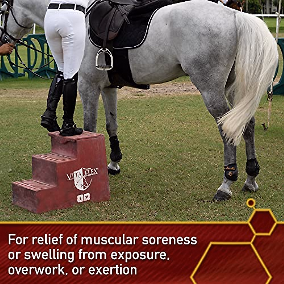 Vita Flex Thermaflex Liniment Gel for Sore Muscles and Joint Relief in Horses 12 Fluid Ounces