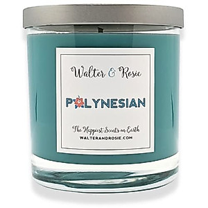 Walter & Rosie Candle Co. - Polynesian 11oz Scented Candle Inspired by Disney Scents - Smell Like Disney Resorts - The Happiest Scents on Earth - Soy Blend - Burns up to 40 Hrs