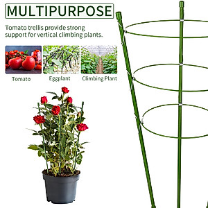 JCKHXG 4 Pack Tomato Cage, 18 inches Plant Support Cages for Garden, Upgrade Garden Plant Stakes with Adjustable Rings, Plants Trellis for Tomato, Flower, Climbing Plants, with Twist Tie