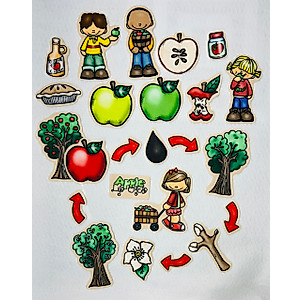 Apple Life Cycle Felt Set Flannel Board Story Fruit Storytelling Teaching Activity