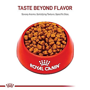 Royal Canin Yorkshire Terrier Adult Dry Dog Food, 2.5 lb bag